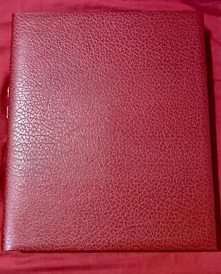 NICE GB, IRELAND, CHANNEL ISLANDS, ISLE OF MAN STAMP COLLECTION IN ...