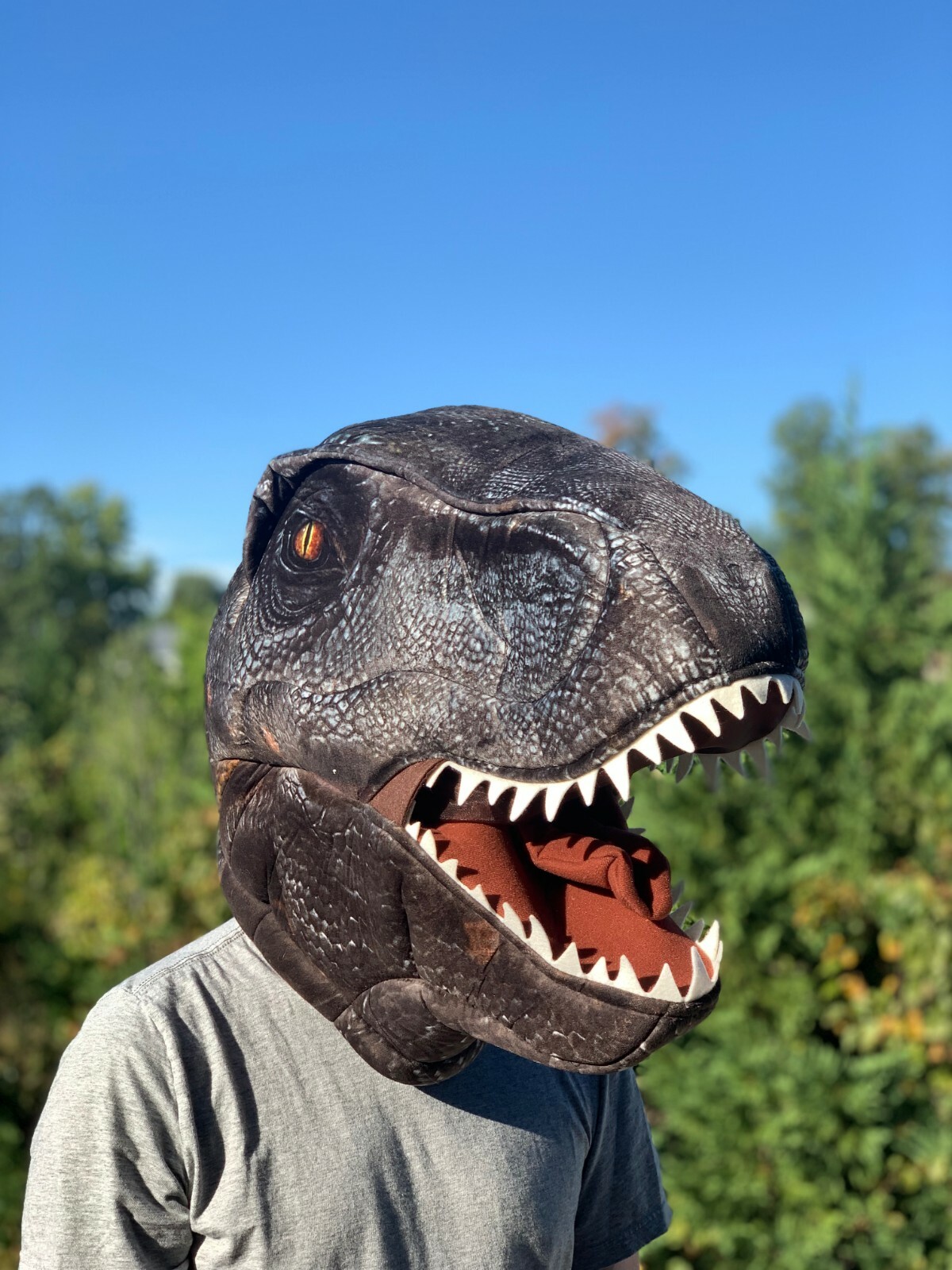 Jurassic World Dinosaur Head Mask Plush Soft Costume … - Gem