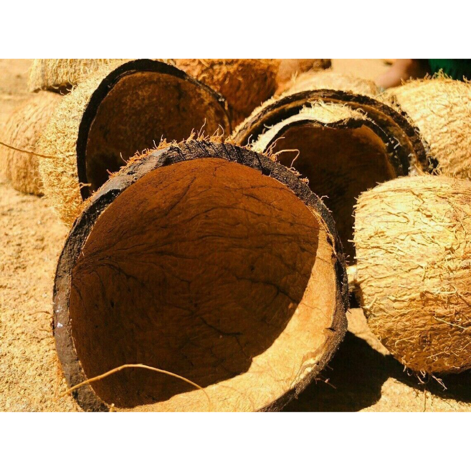 Ceylon Coconut Shell Chips Natural EcoFriendly 100% Organic Halve 500g ...