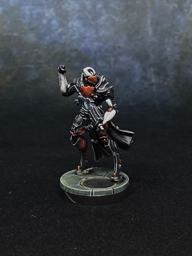 5 x Infinity Nomads Hollow Men (painted) | eBay