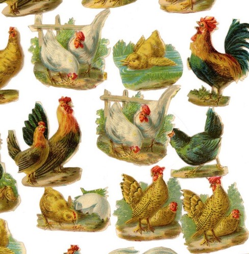 Antique Victorian Die Cut Scrap collection 19 birds chicken rooster ...