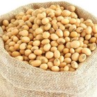 ORGANIC BULK 10KG DRIED SOYA BEANS - SOY BEANS - FOR TOFU - SOY MILK | eBay