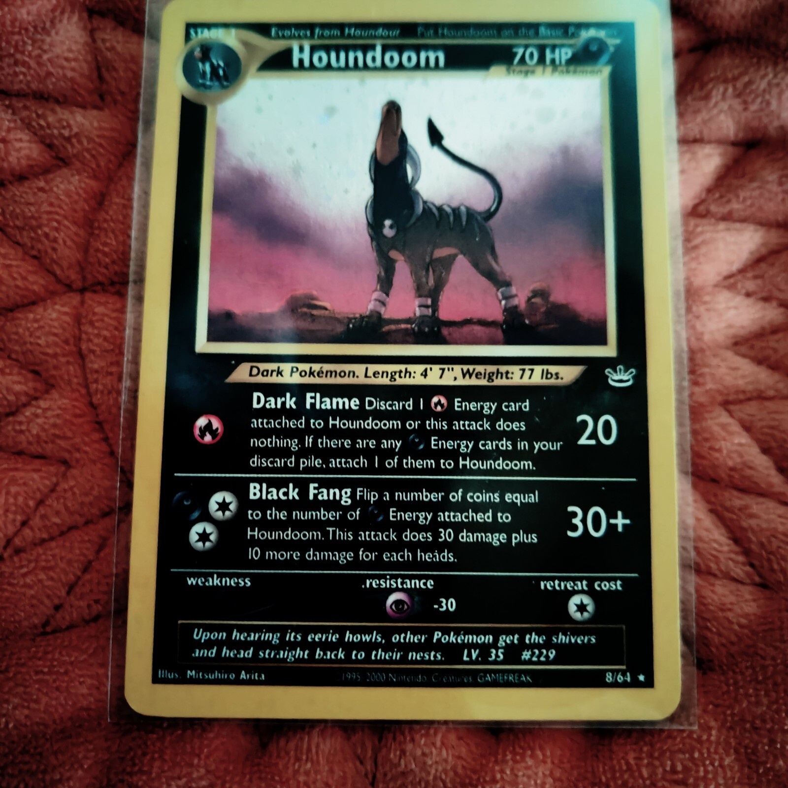Houndoom 8/64 Neo Revelation Holo Rare Pokemon NM-MINT | eBay