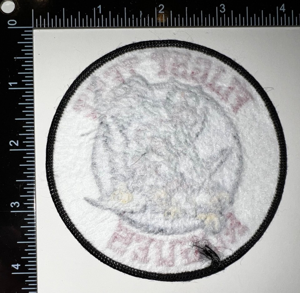 USAF US Air Force 339th Test Squadron Flight Test Rogues Patch | eBay