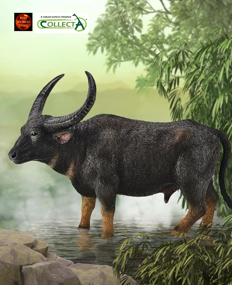 Wild Water Buffalo Wildlife Toy Model Figure by CollectA 88657 New | eBay