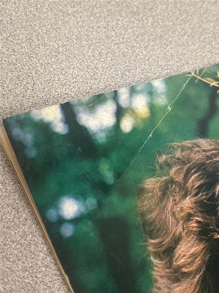 WOMEN'S PHYSIQUE WORLD female bodybuilding muscle magazine SHARON ...