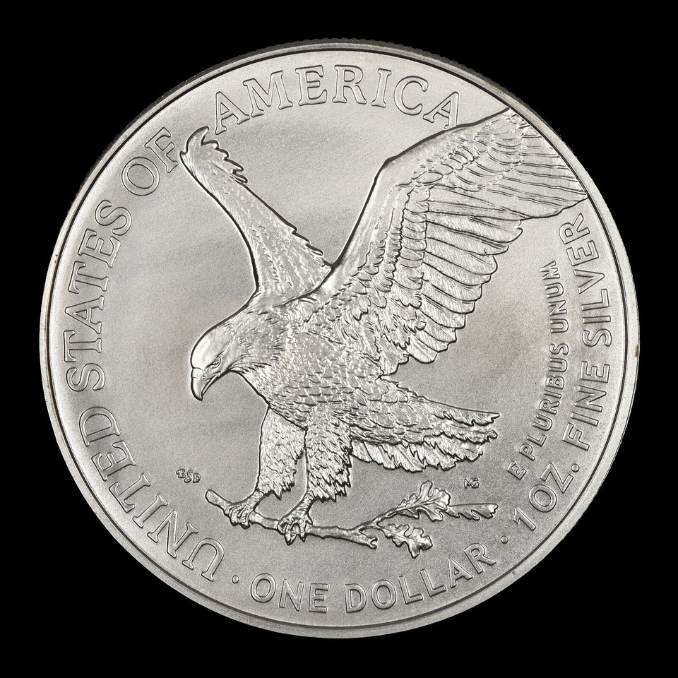 2022 Colorized 1oz American Silver Eagle - Geronimo | eBay