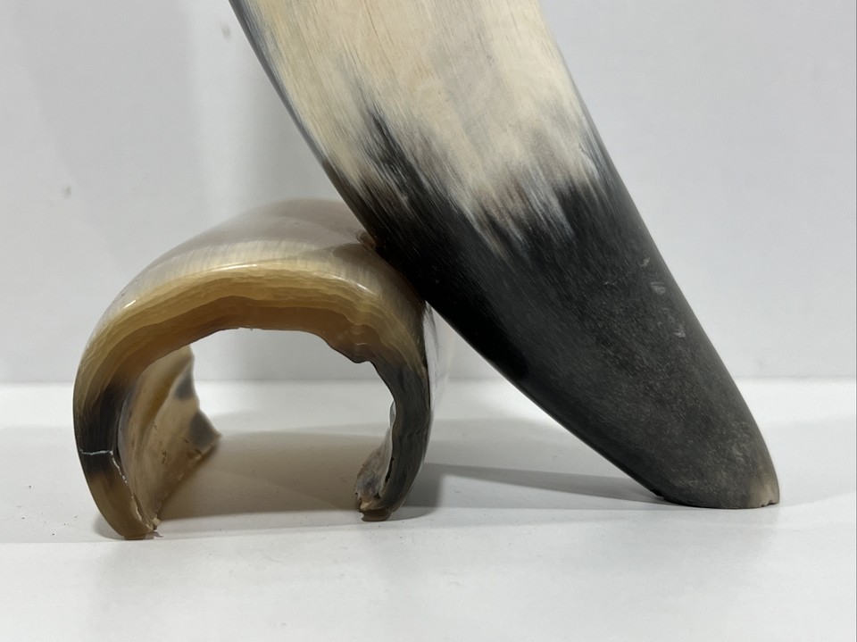 POWDER HORN DISPLAY CARVED POWDER HORN SCRIMSHAW FOLK ART SAILING ...