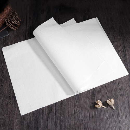 Calligraphy Paper Rice Roll and Painting Practice Sheets Chinese Brush ...