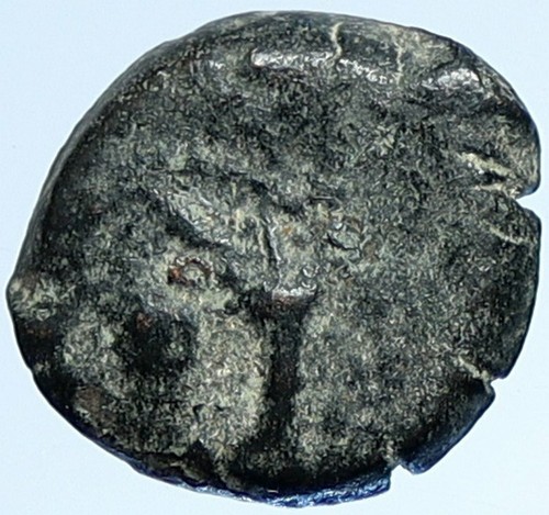 Salome Alexandra JOHN HYRCANUS II or ARISTOBULUS II Ancient Jewish Coin ...