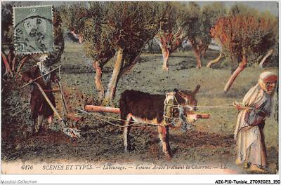 Aikp10-Tunisia-0963 - Scenes and Types - Plowing - Arab Woman Dragging ...