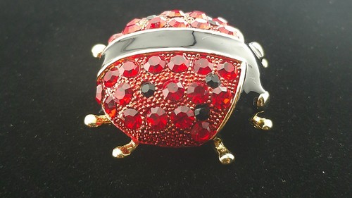 Absolutely Stunning Black and Red Lady Bug Brooch | eBay