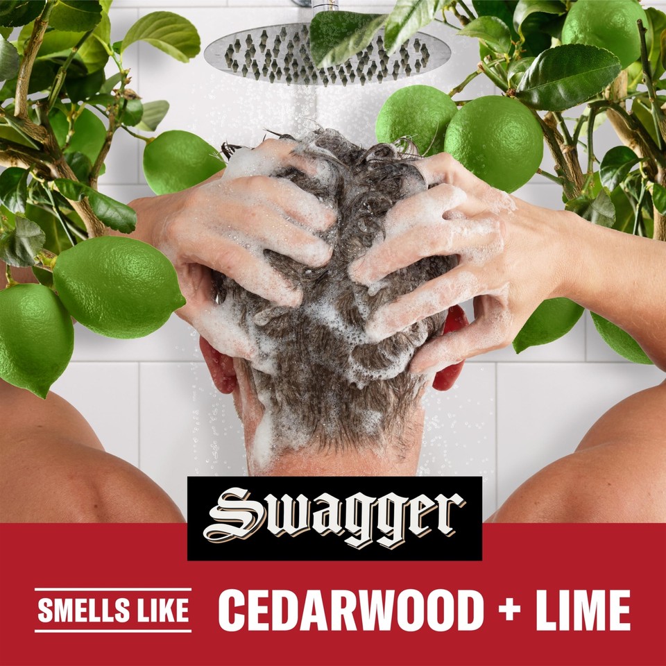 Old Spice Swagger 2-in-1 Shampoo and Conditioner Set for Men Cedarwood ...