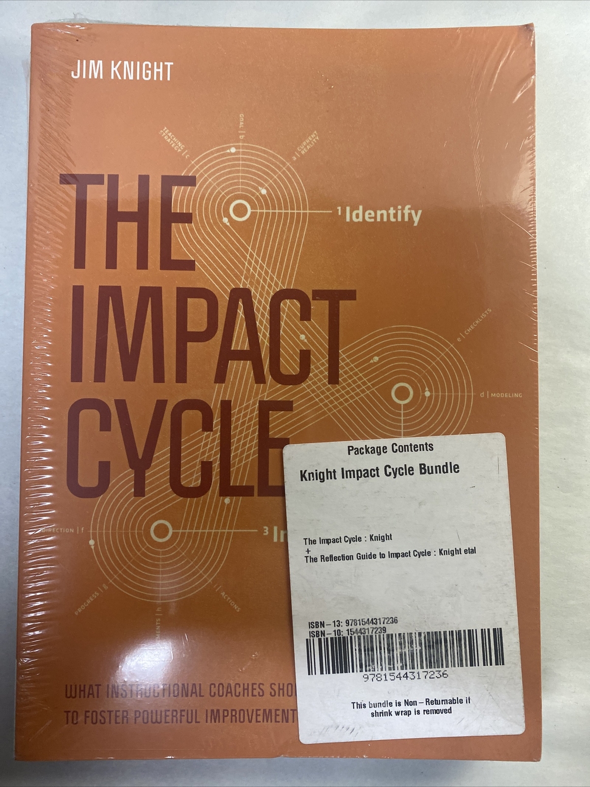 Impact Cycle : What Instructional Coaches Should Do to Foster Powerful ...