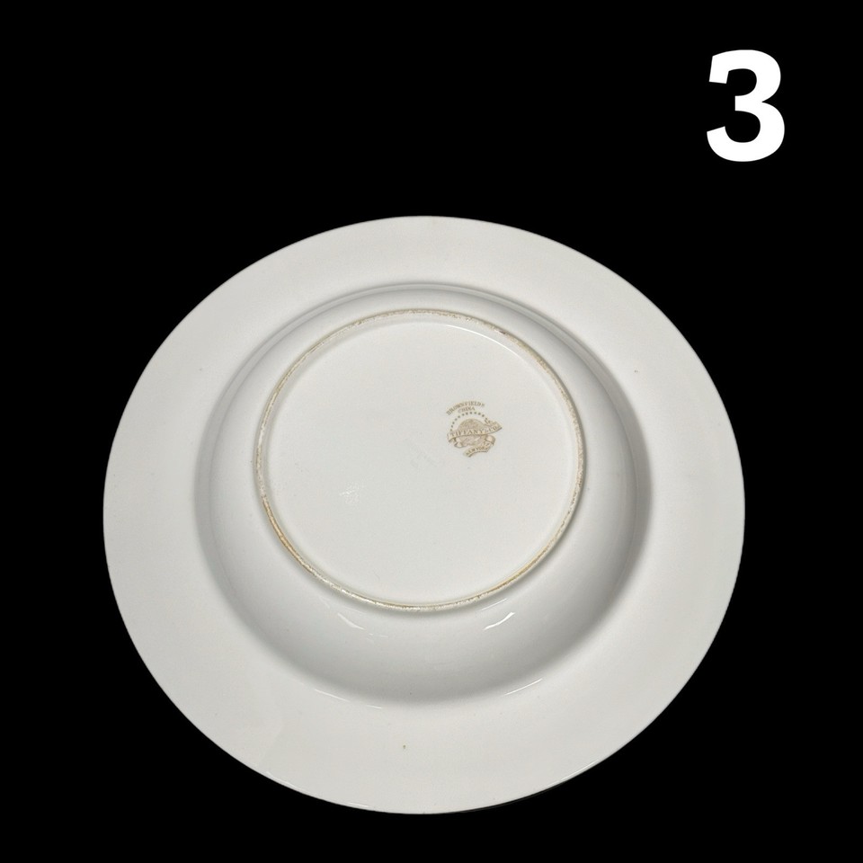 Tiffany & Co Brownfield China Plates, Set of 12, Antique 1860’s | eBay