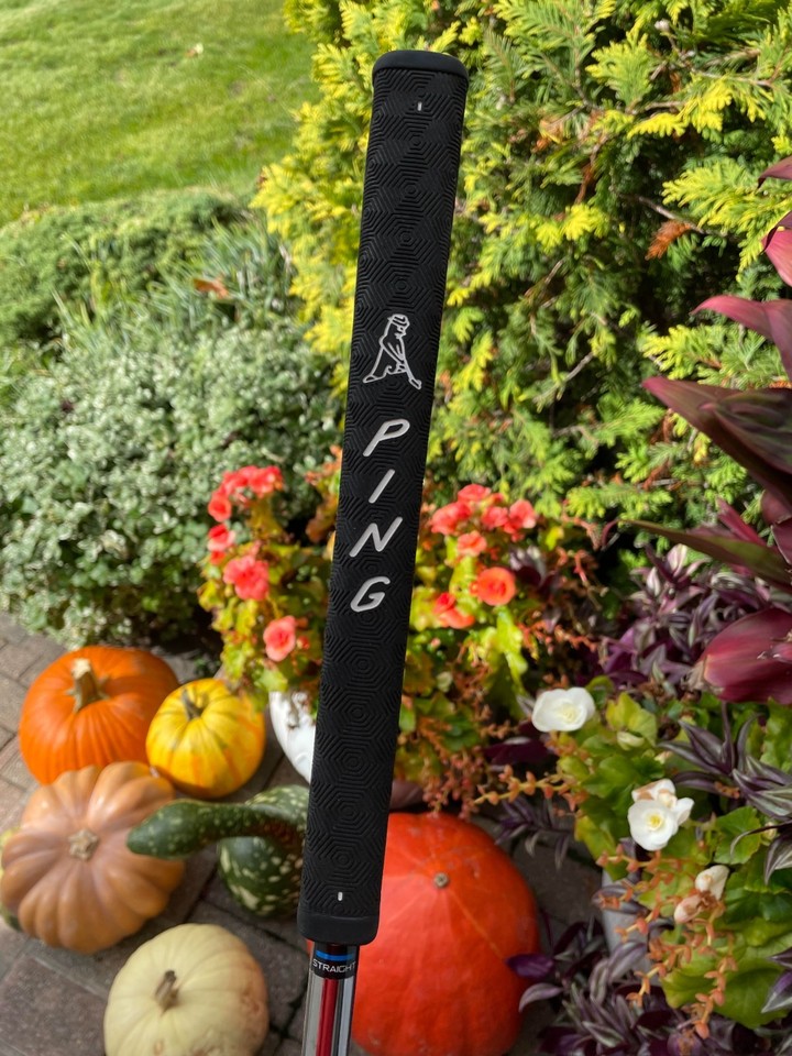 PING D572 C Center Shaft Mallet Putter RH 35" Ping Grip | eBay