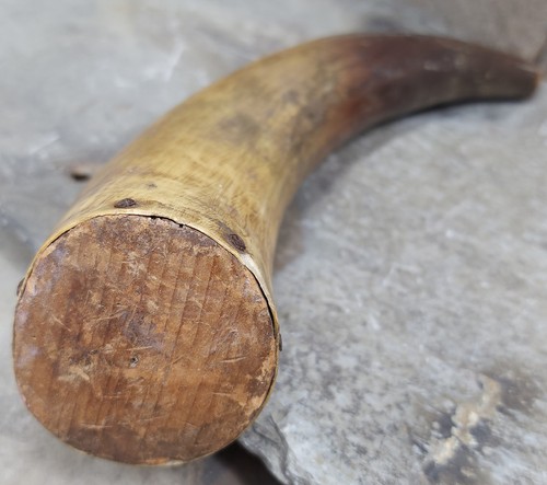 Antique Handmade Real Cow Bull Powder Horn Flask Gunpowder Holder ...