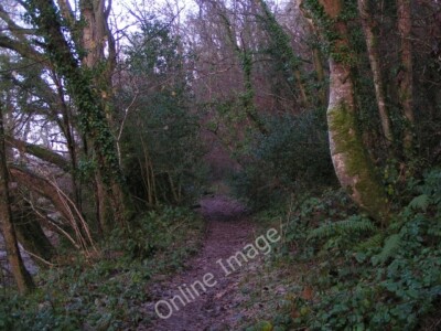Photo 6x4 Exe Valley Way north of Bickleigh, looking north Bickleigh ...