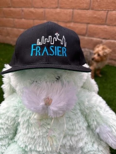 ORIGINAL 1990'S FRASIER HAT/CAP WITH ADJUSTABLE SNAPBACK****NEVER WORN ...