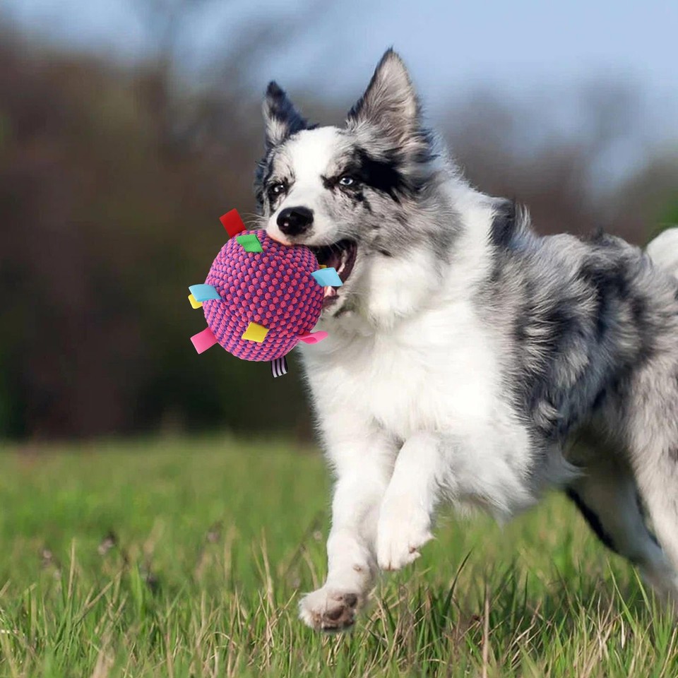 Dog Toy Ball Interactive Dog Play Ball Squeaky Pet Supplies Soft Game ...