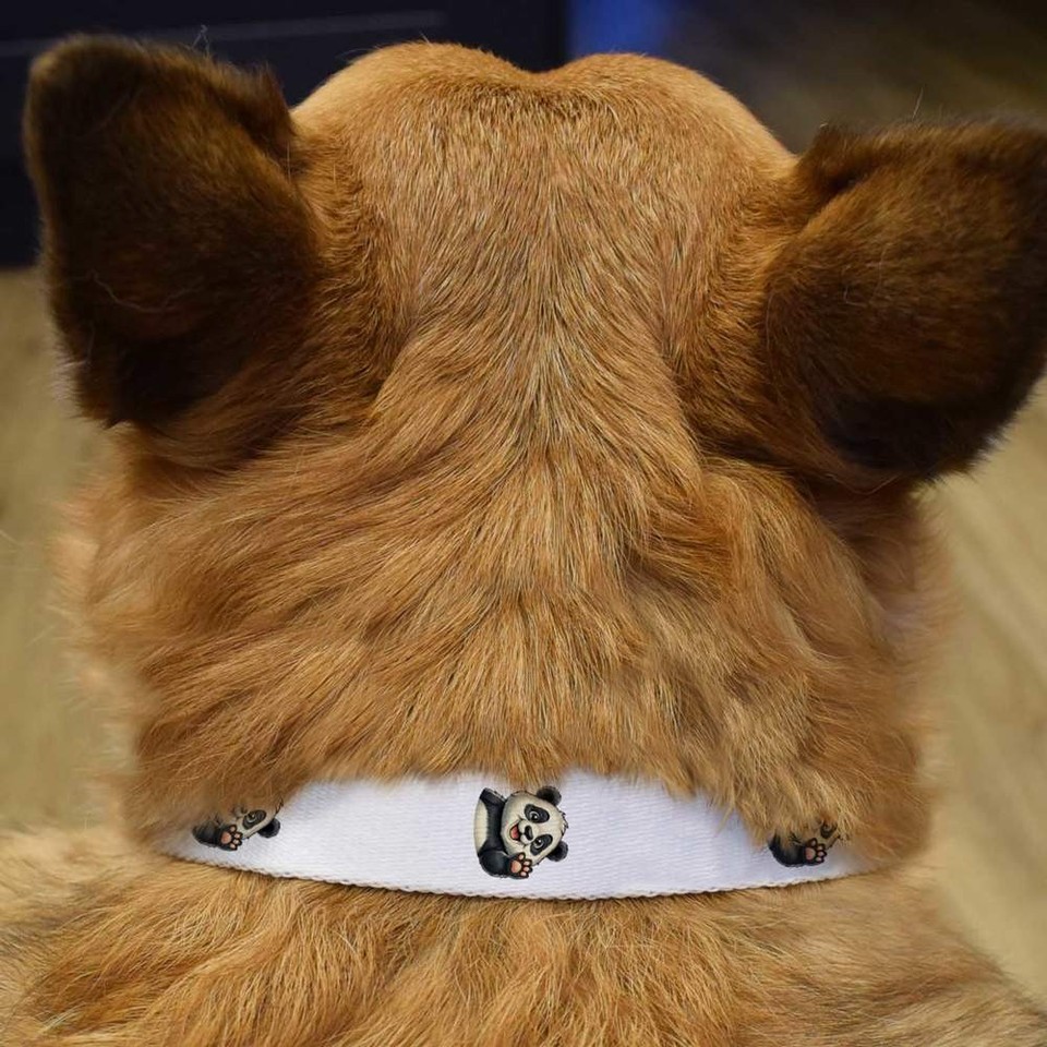 'Cute Panda High Five' Dog Collars (PR059556) | eBay UK