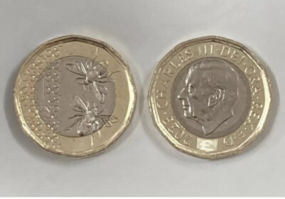 One Pound Coin King Charles BEE COIN 2023 £1 coin | eBay UK