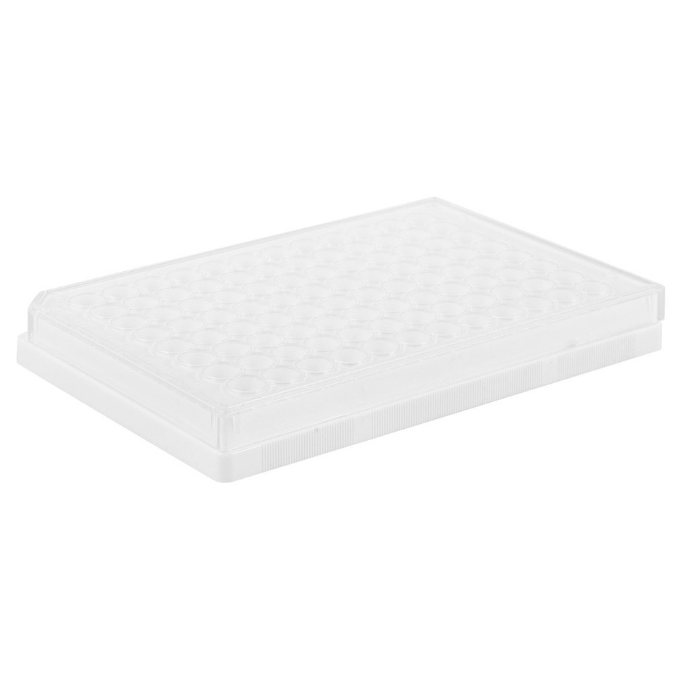 Tissue Culture Plate Laboratory Culture Plate Lab Cell Culture Plate ...