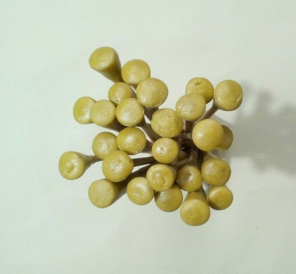 Natural 25 Wooden Dop Sticks with epoxy wax for gemstones cutting and ...