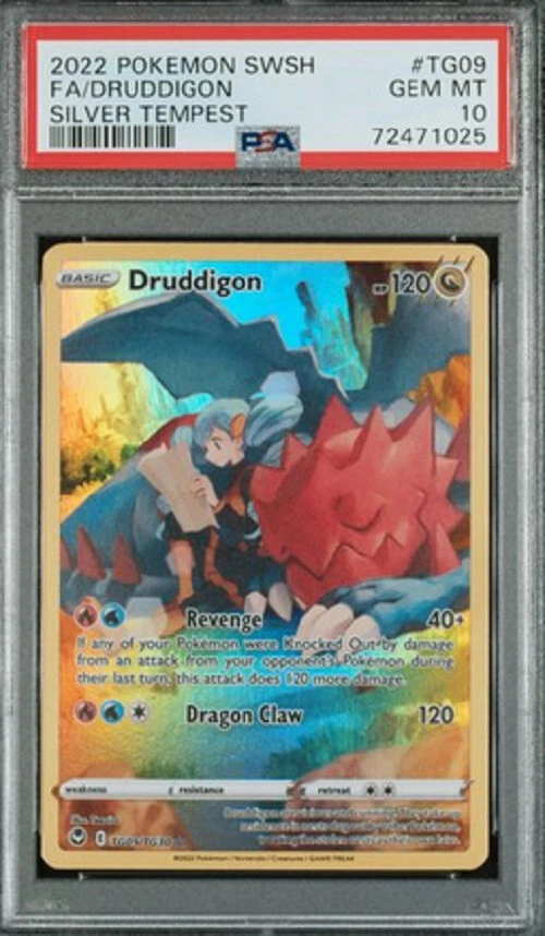 Druddigon Pokemon Card