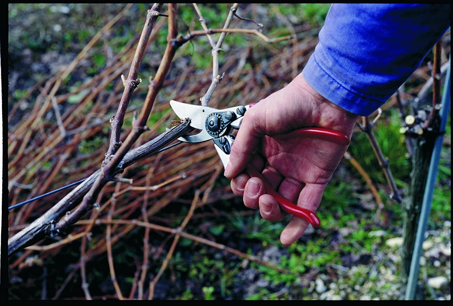 Felco 8 Ergonomic Model Bypass Pruning Shears Swiss Made Hand Pruner ...