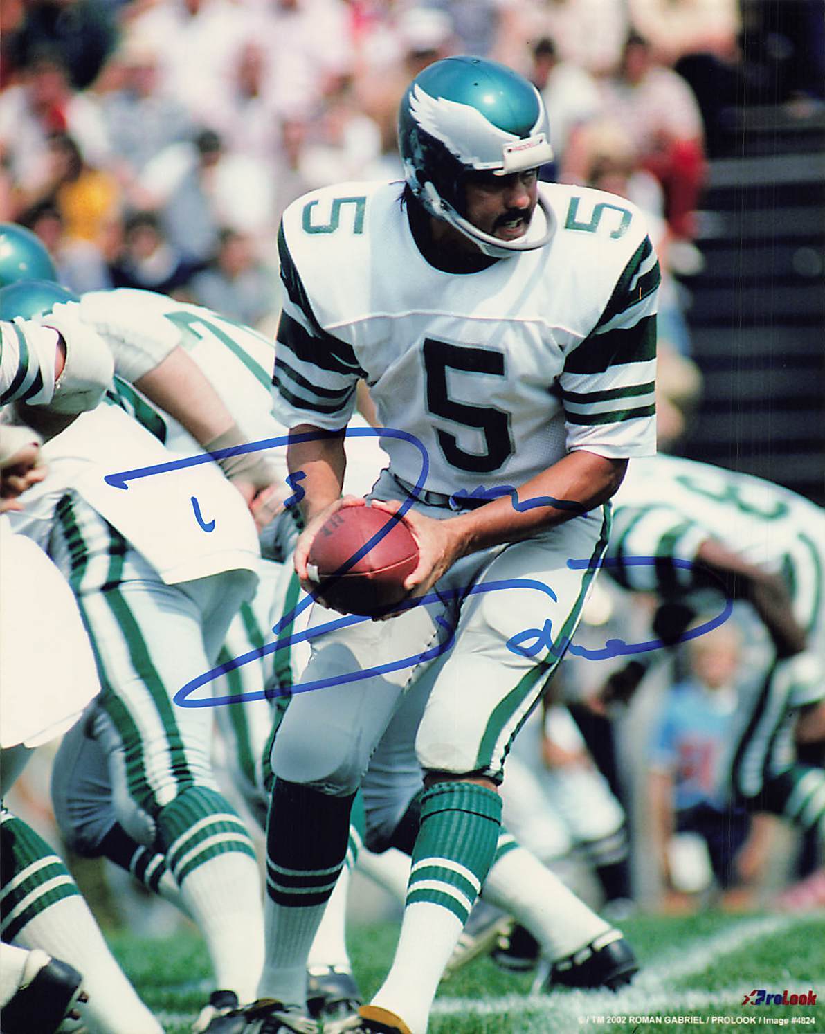 Roman Gabriel Eagles Signed Auto 8x10 *4927 | eBay