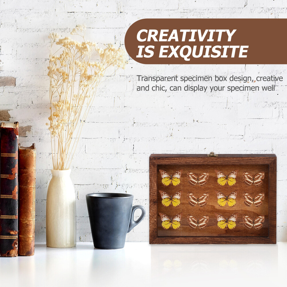 Terrarium and Specimen Holder, Jewelry Organizer Box | eBay