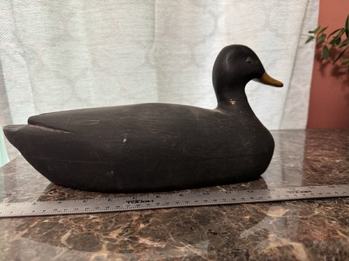 PRICE REDUCED vintage coot duck decoy | eBay