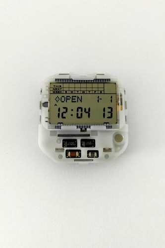 VINTAGE CASIO DBC-310/DBC-3000 DATABANK-300 CALCULATOR WATCH NEW MODULE ...