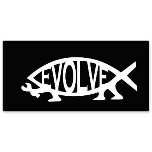 Evolve Fish Evolution Darwin White on Black Car Vinyl Sticker - SELECT ...