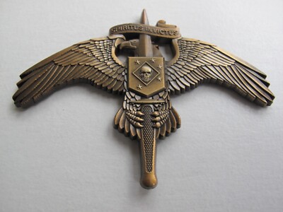 Raider SKULL on MarSoc Legacy Badge Pin US Marine Corps SOCOM Tactical ...