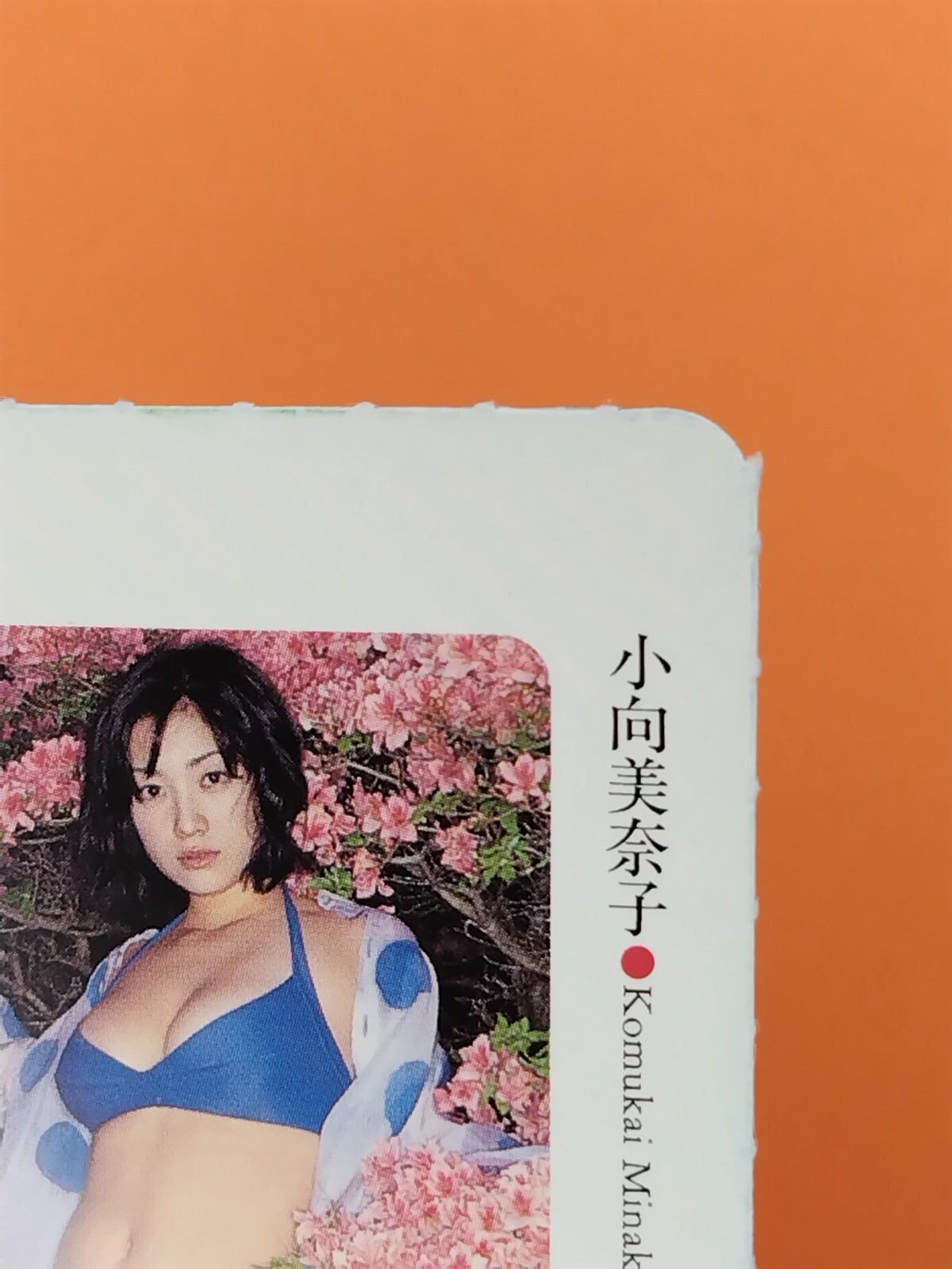 Komukai Minako Weekly Playboy WPB 37th Aniv. ORIGINAL PLAYING CARD Diamond 5 | eBay