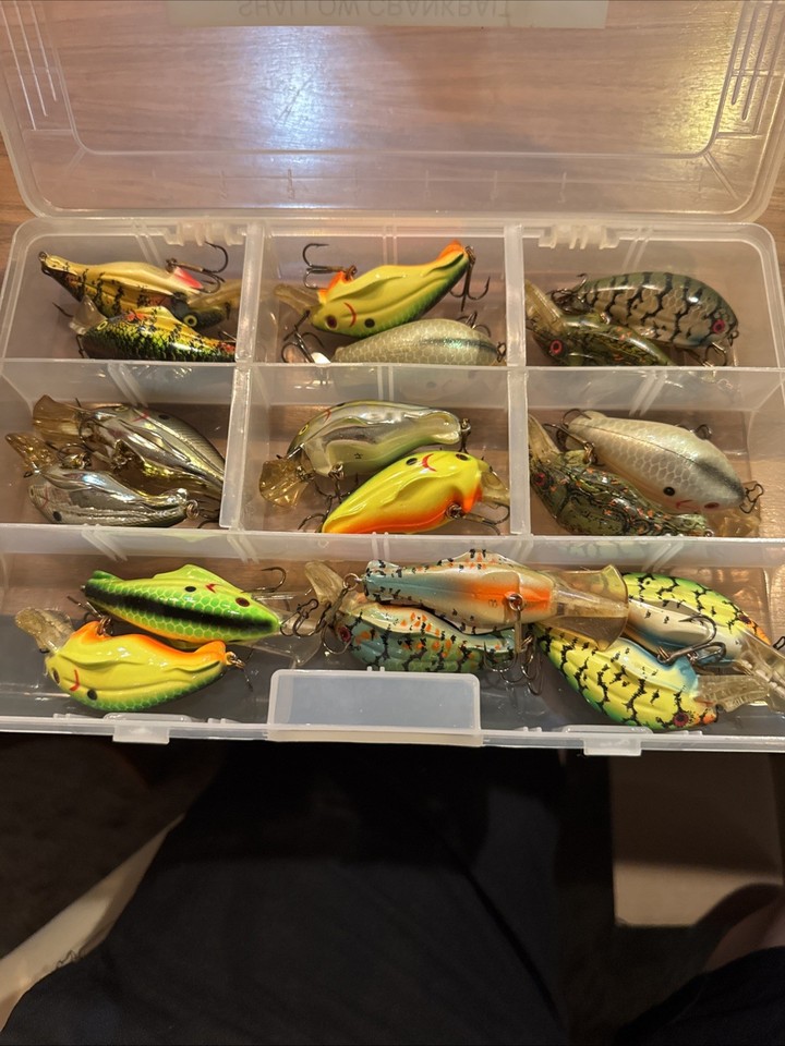 Shallow Crankbait Lot | eBay