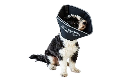 Comfy Cone Pet Cone for Dogs, Cats, X-Large, Black - Comfortable Soft ...