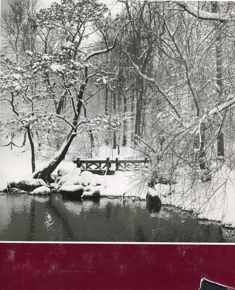 Urban Wilderness : Nature in New York City Joel Greenberg SIGNED - VERY ...