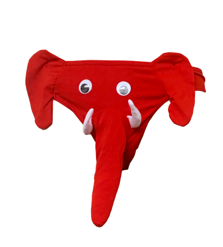 Sexy Mens Underwear Naughty Bikini Funny G Thongs Mankini Gag Gift Bird ...