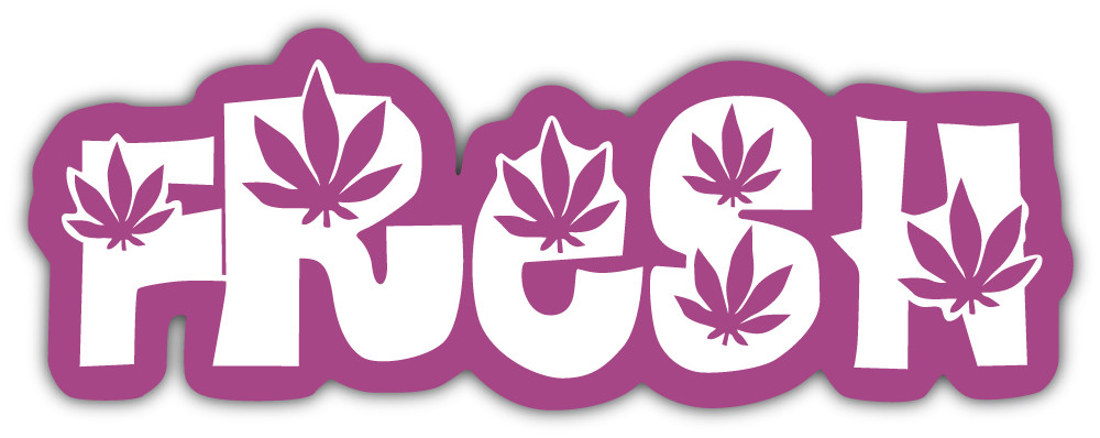 Fresh JDM Slogan Sticker Car Bumper Decal - 9'', 12'' or 14'' | eBay