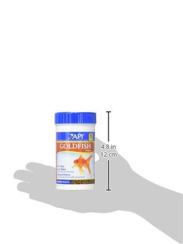 API GOLDFISH PELLETS Fish Food 4-Ounce Container, Medium, Model:833B | eBay