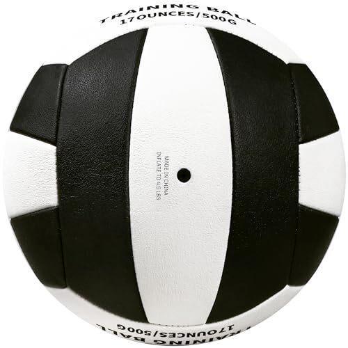 Heavy Weight Volleyball Setter Training Ball Official Size 5 ...