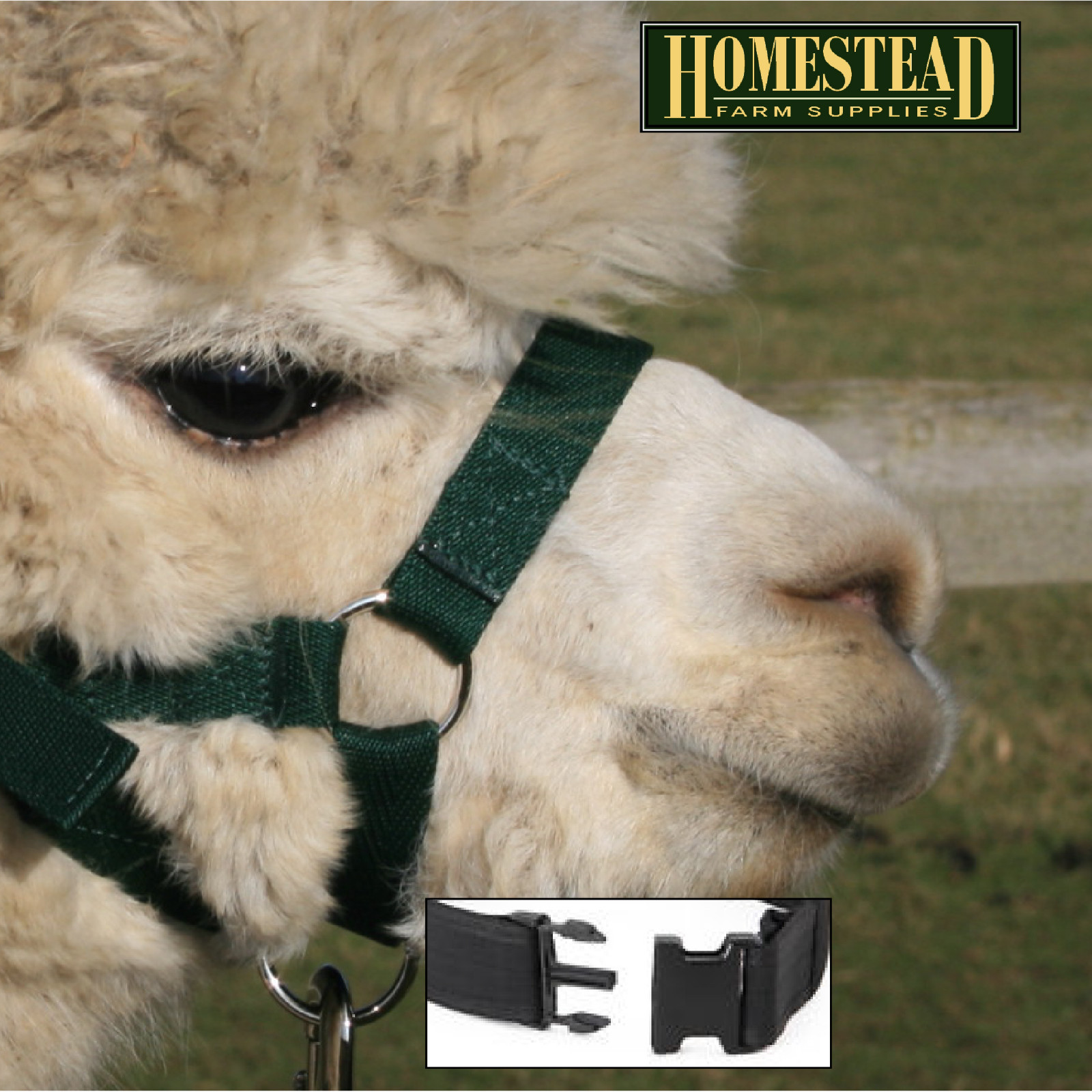 Llama Alpaca Headcollar Snap Fastening Halter With LEAD - 10 Colours ...