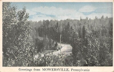 Country Road Greetings from Mowersville Pennsylvania Cows | eBay