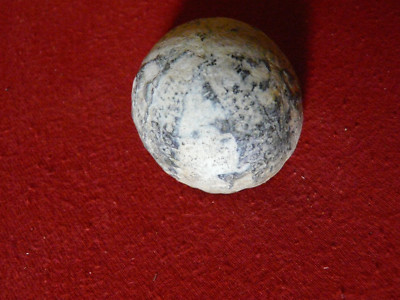 versteinerter Seeigel sea urchin Tunesien, Nord-Sahara, Meeresfossil ...