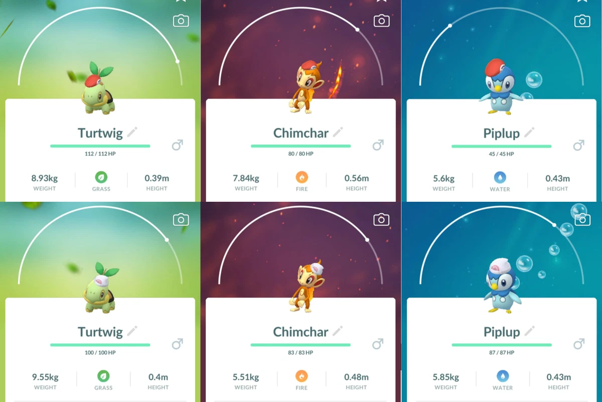 Piplup Evolution Chart