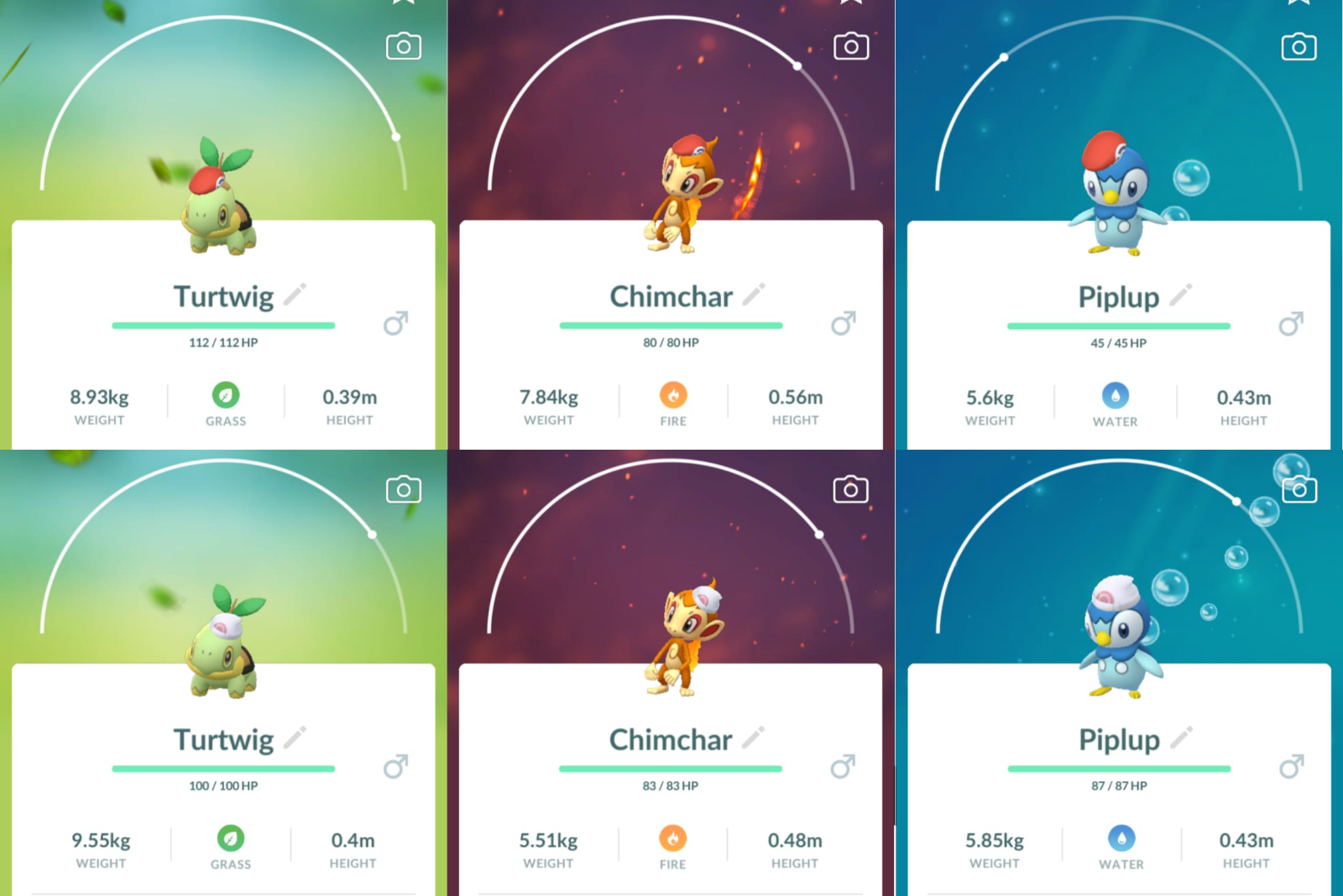 Pokemon Chimchar Evolution Chart