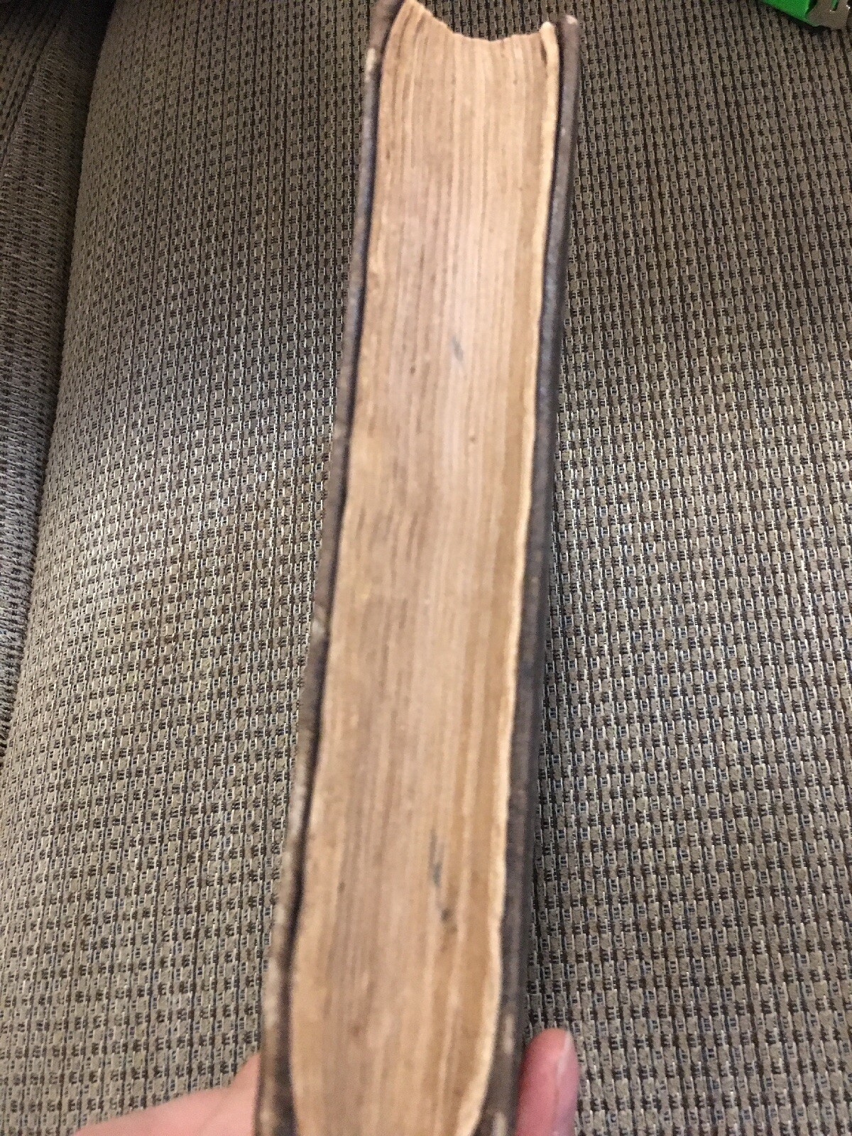 TRUE First Edition 1860 Adventures James Capen Grizzly Adams, Theodore ...